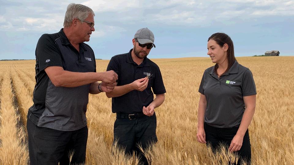 Co-op Agro | Wynyard Co-op